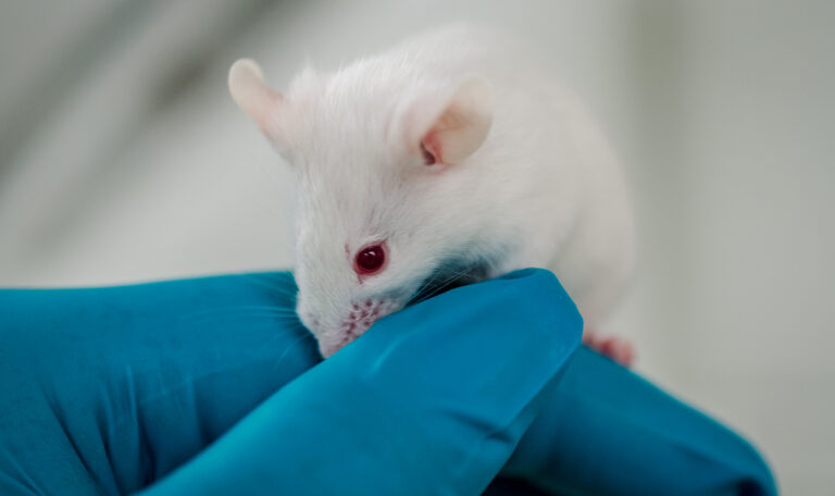 Alternative Approaches to Animal Testing for Safety Evaluation ...
